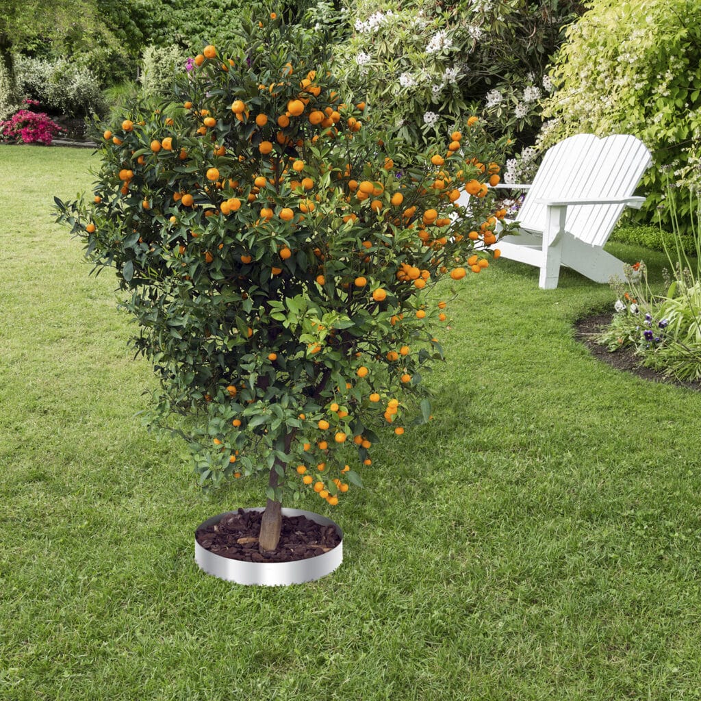 Galvanised Steel Tree Ring | Jack