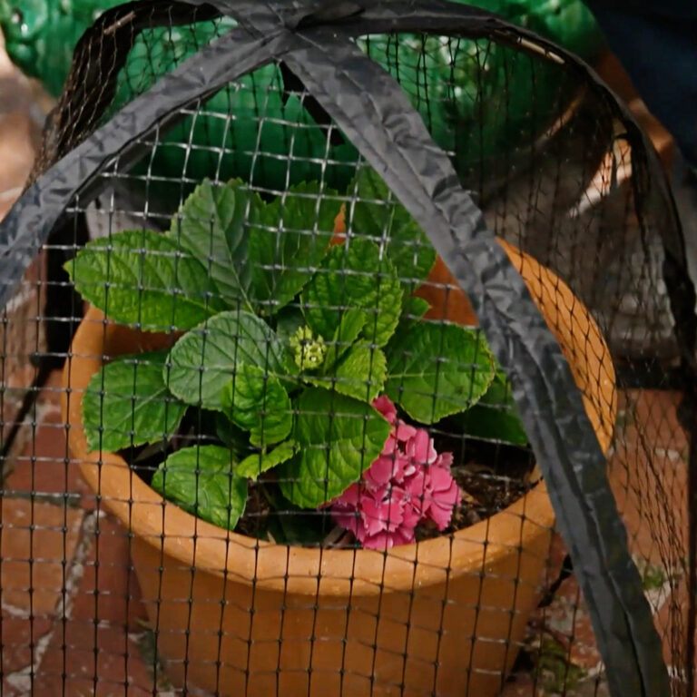 Plant Covers | Jack