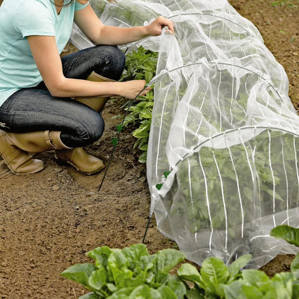 Plant Protection Tunnels | Jack