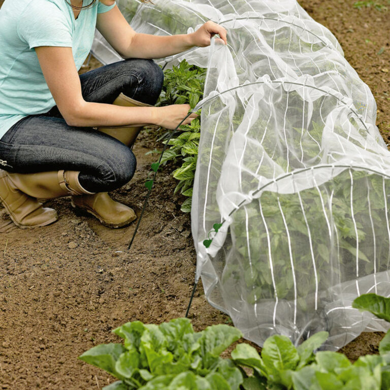 Plant Protection Tunnels | Jack