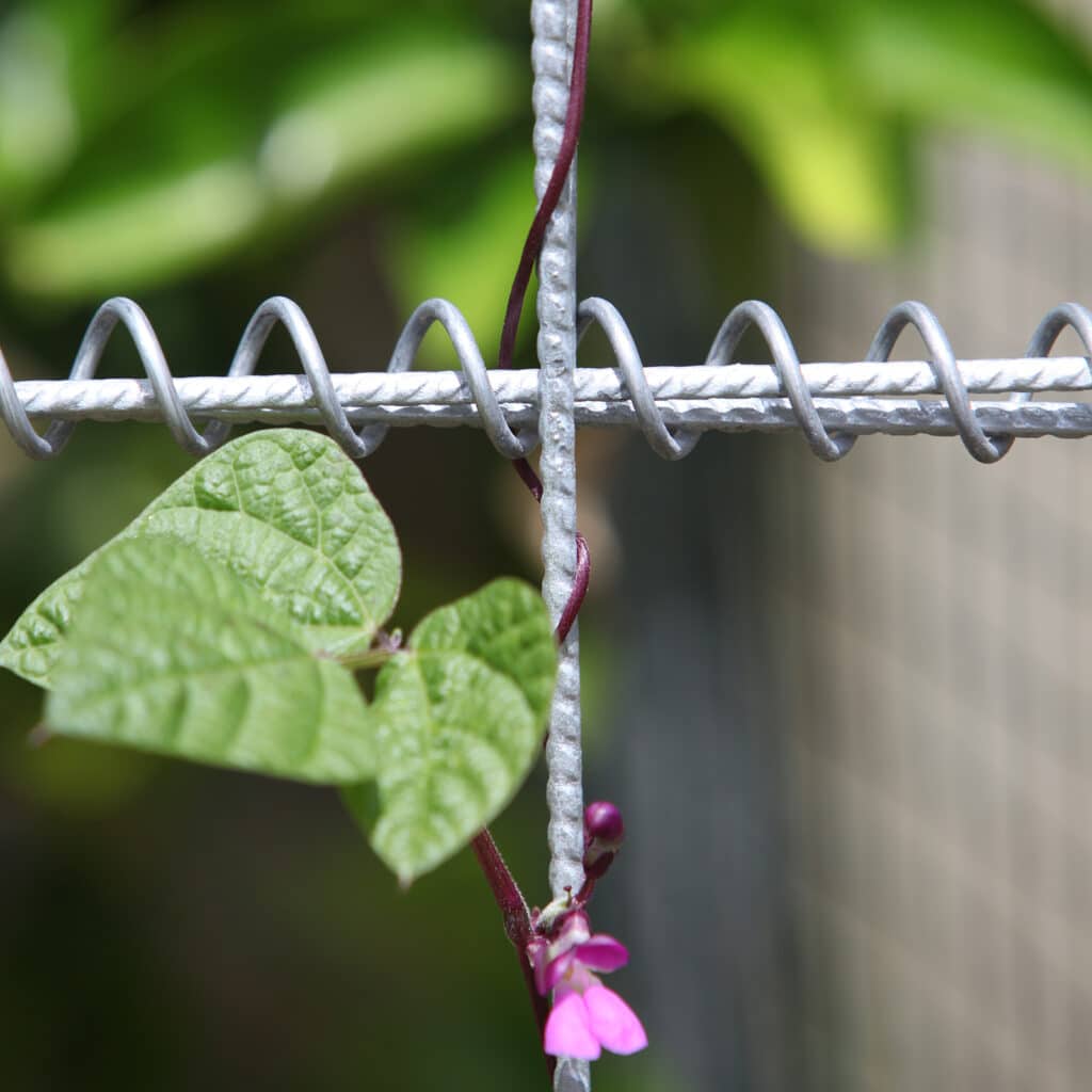 Freestanding Trellis Panels | Grip & Grow® | Jack Garden Products