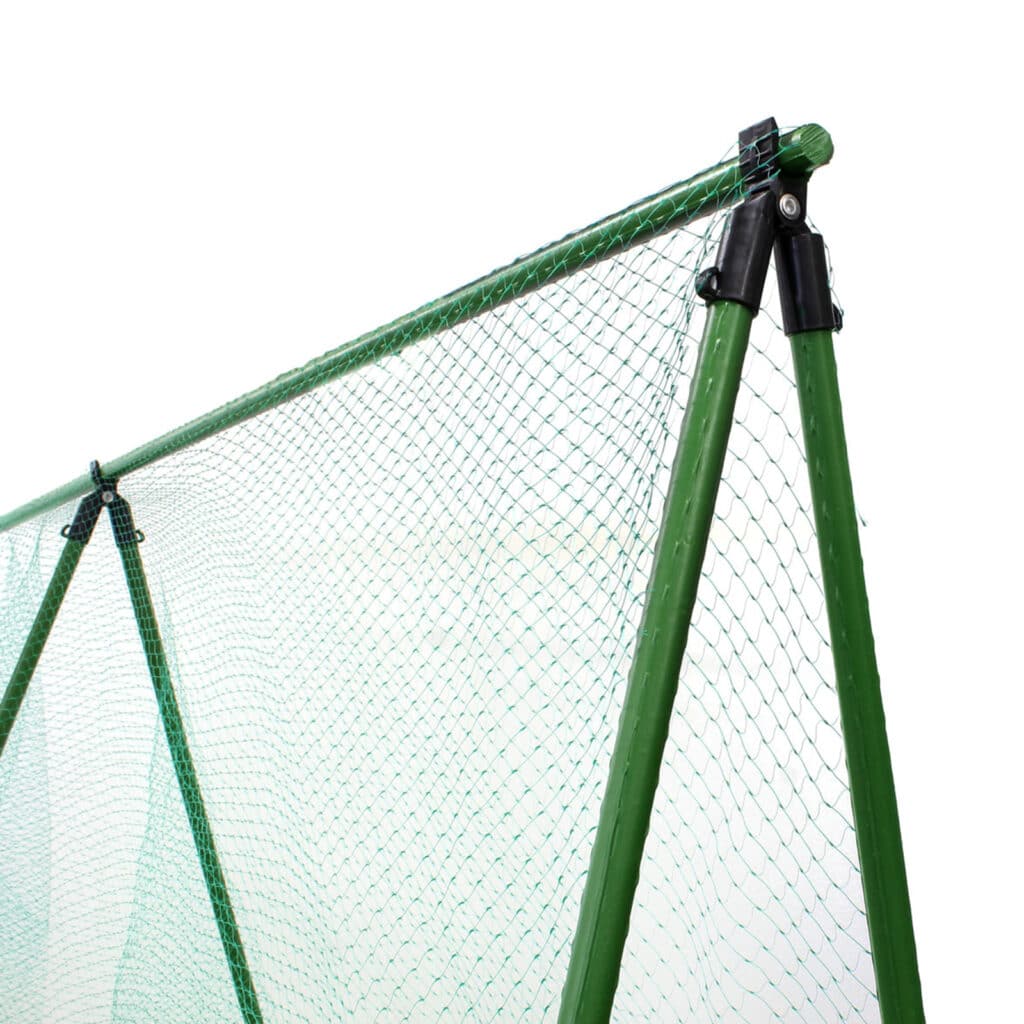 Pea & Bean Frames | Jack