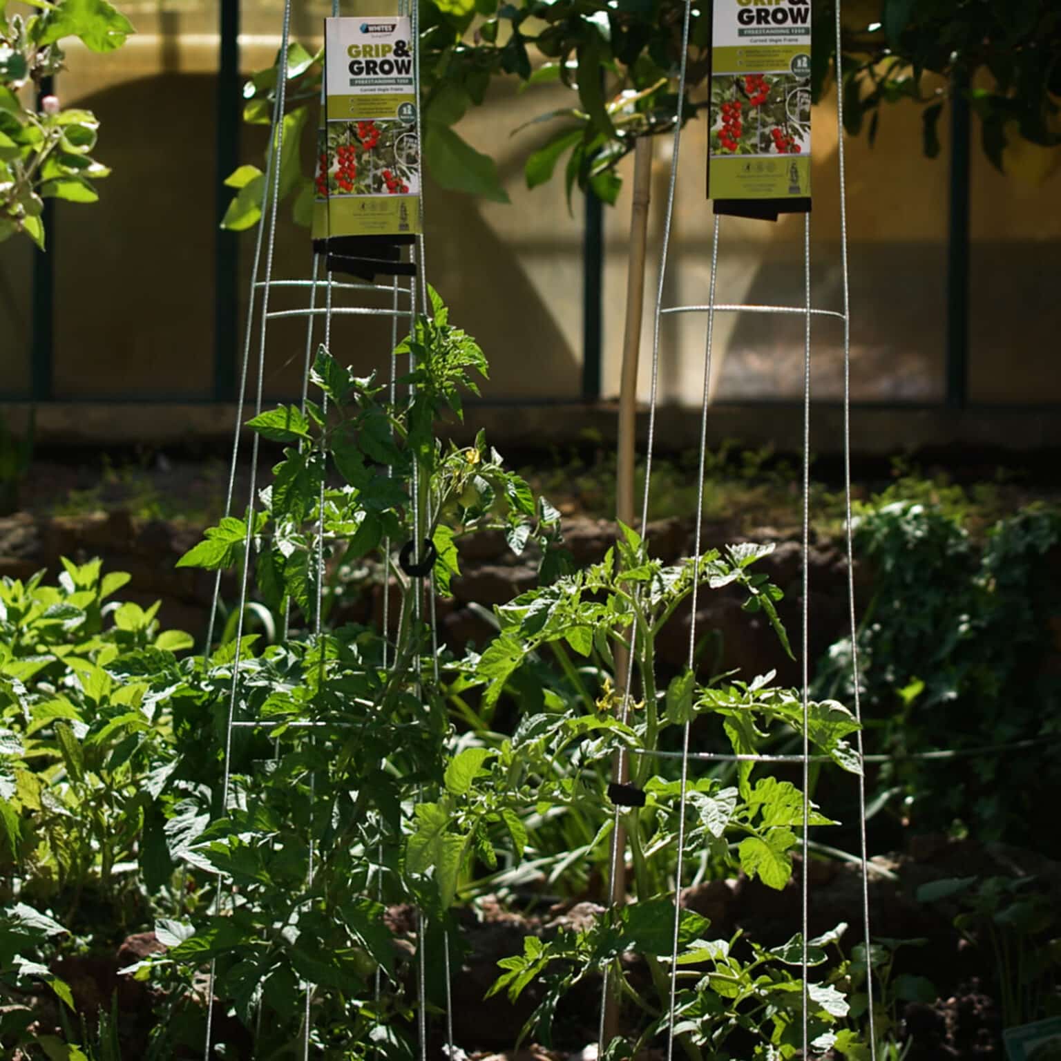 Curved Trellis Panels | Grip & Grow® | Jack Garden Products