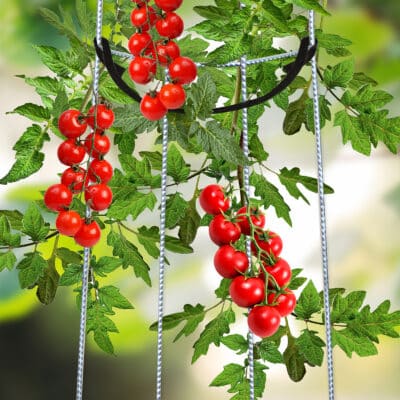 Grip & Grow® Curved Panels | Jack