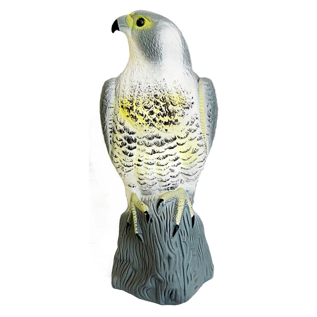 Pest Deterrent Hawk | Jack