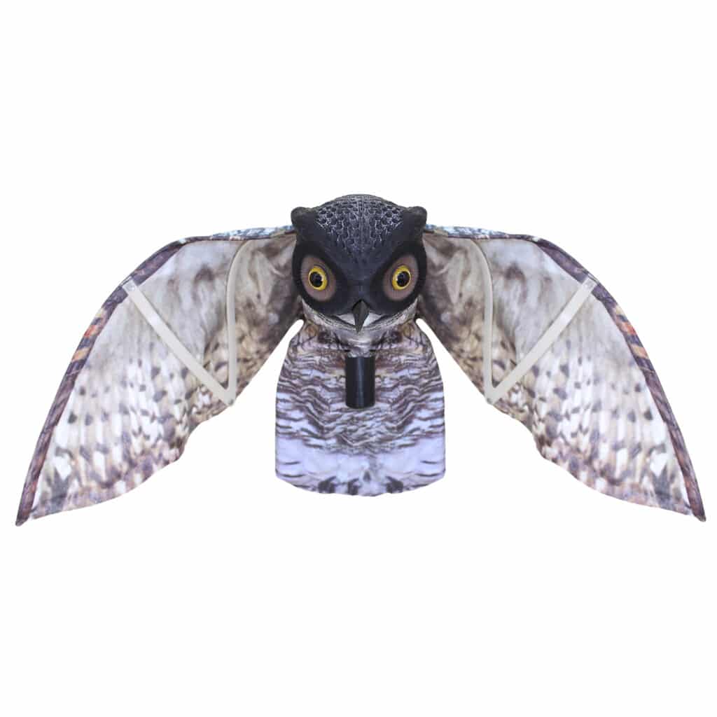 Motion Sensor Owl | Jack