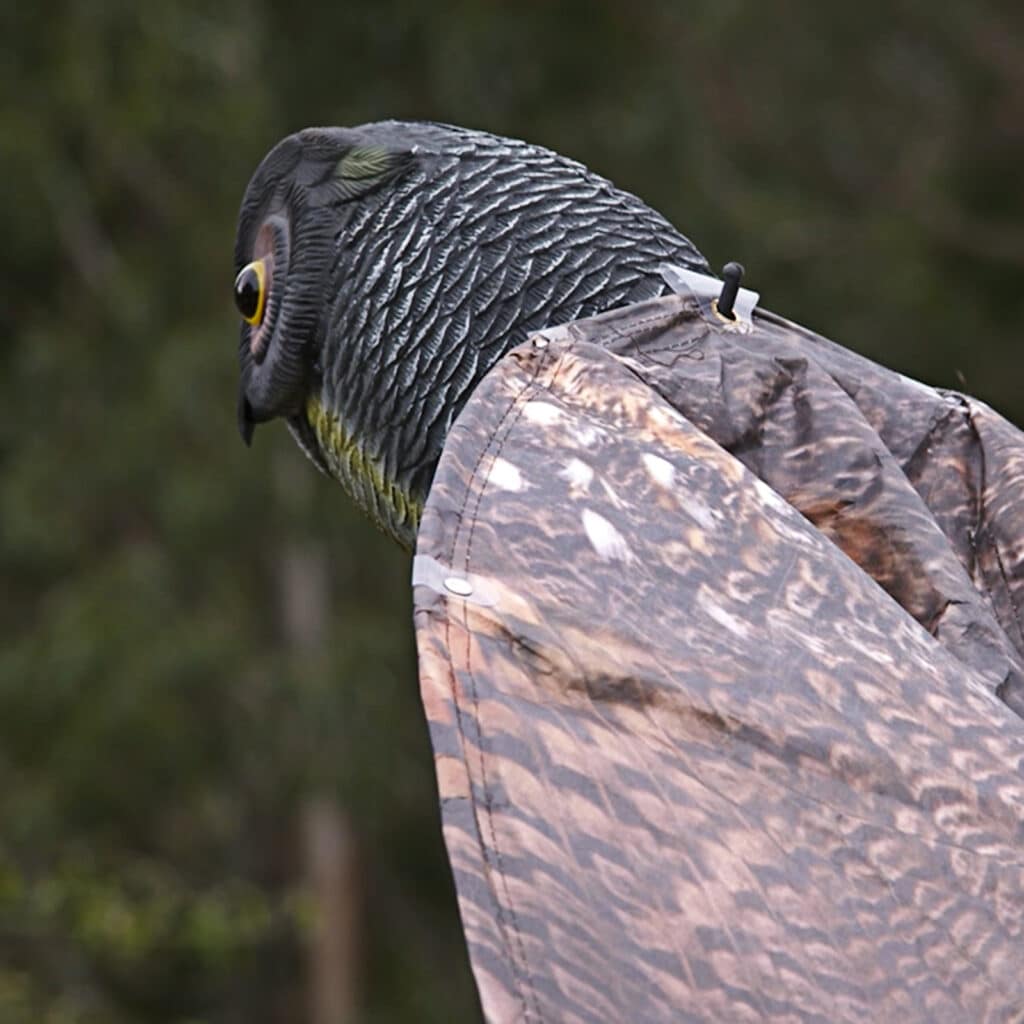 Prowling Owl | Jack