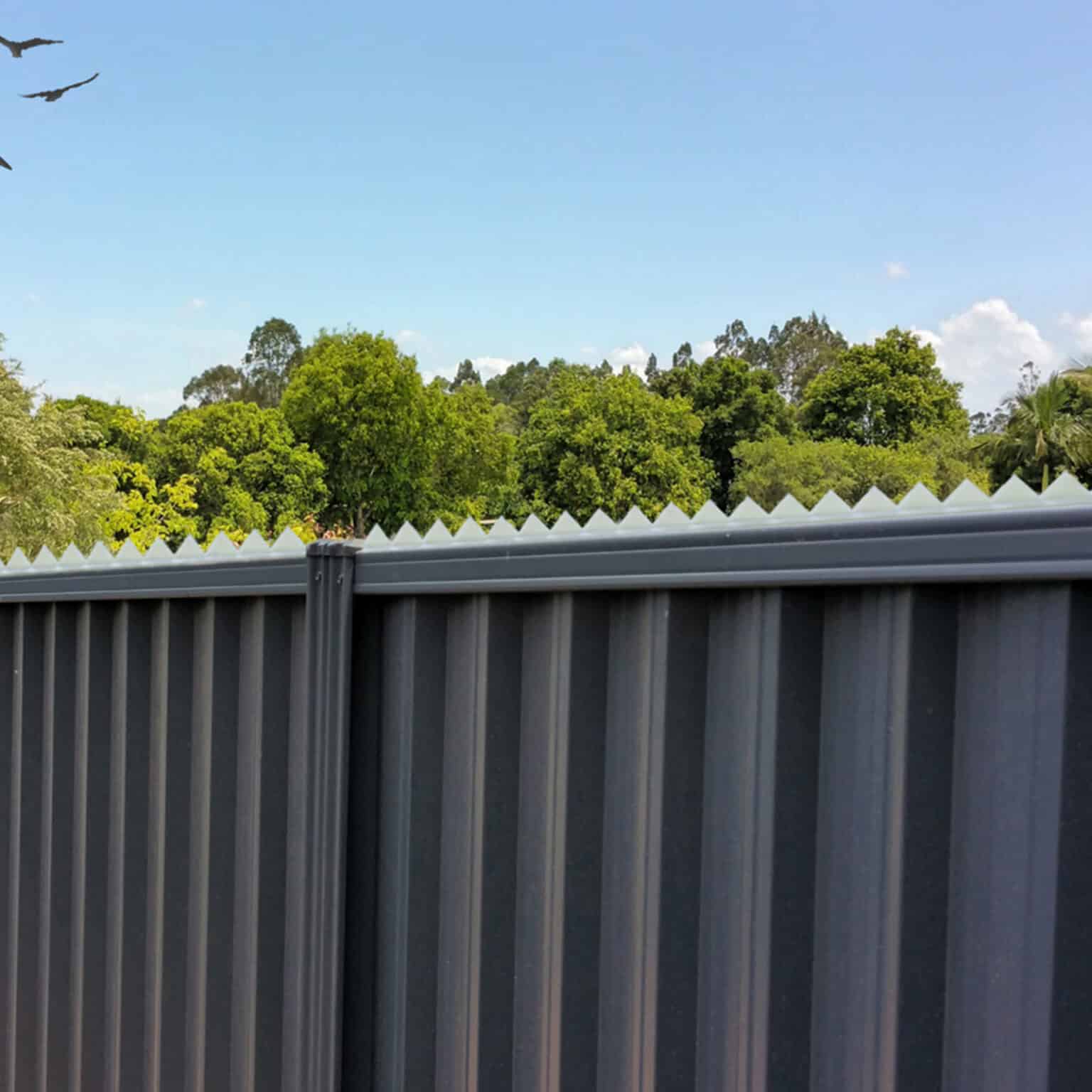 Pest Fence Spikes | Jack