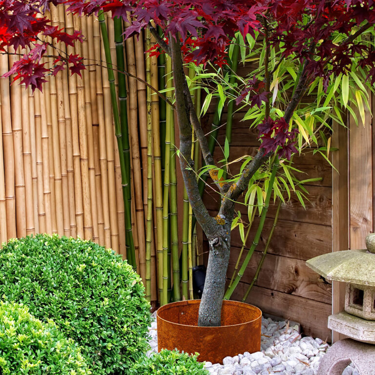 Oxy-Shield® Tree Ring | Garden Edging | Jack Products