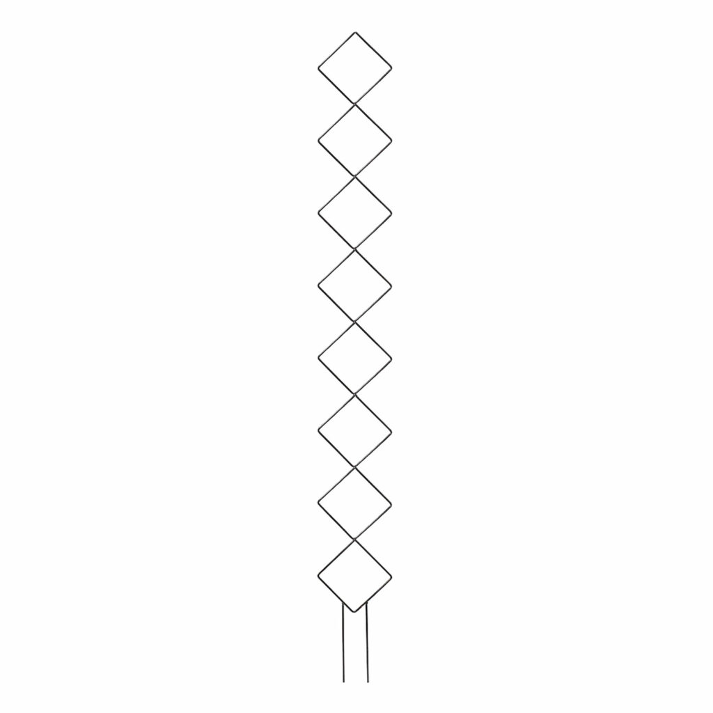 Diamond Climbing Trellis Large | Jack