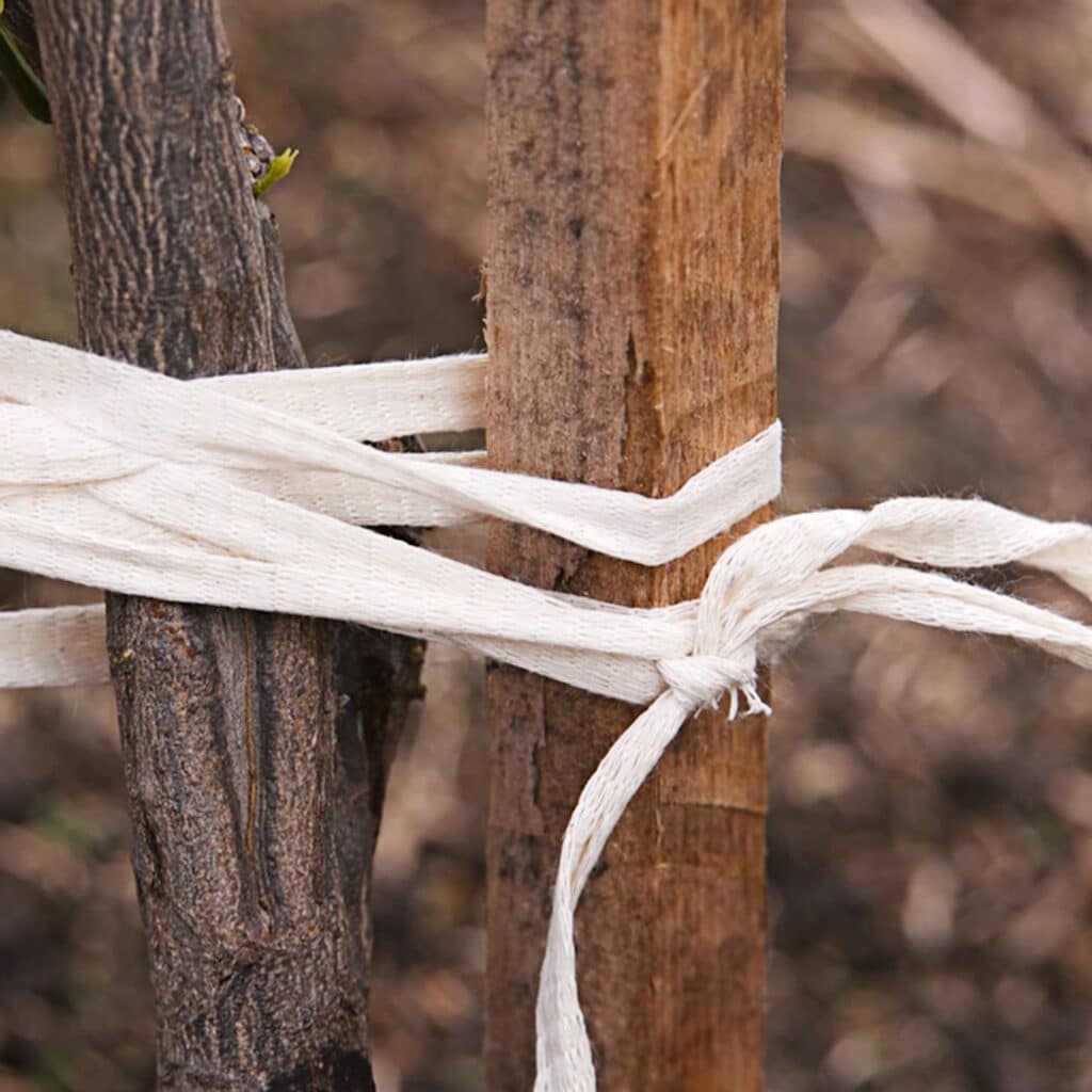 Enviro Ties | Biodegradable Plant Ties | Jack Garden Products