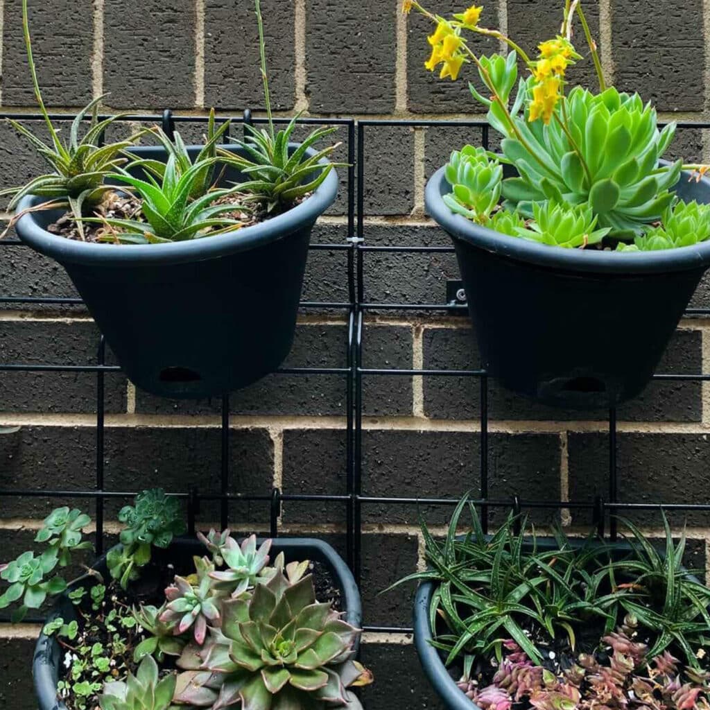 Garden Up® Mix’n’Match Terrace Pot | Garden Pot | Jack Products