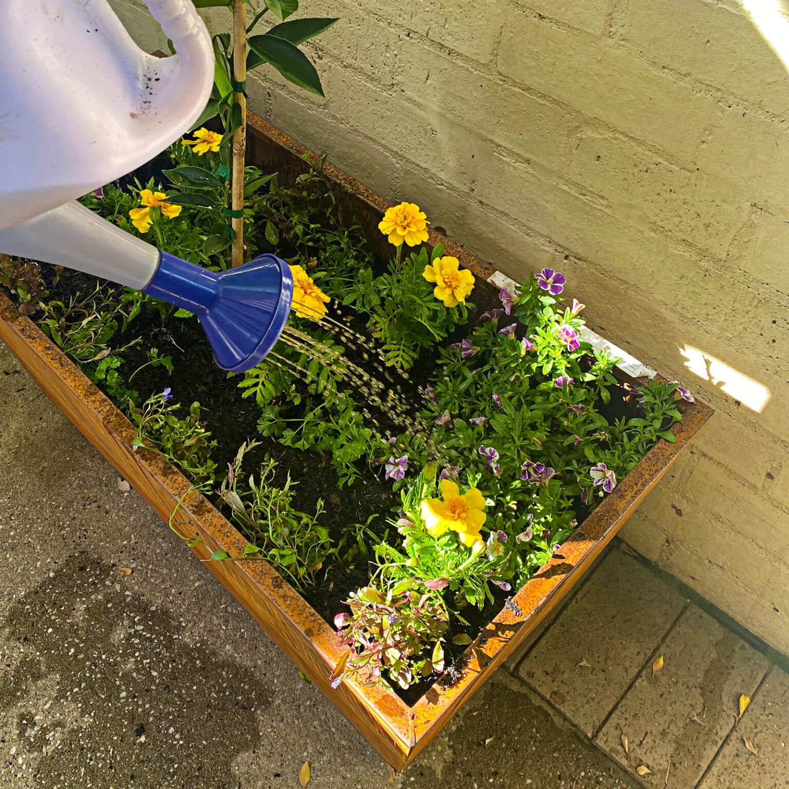 Oxy-Shield® Casa Series Planter | Garden Planters | Jack Products