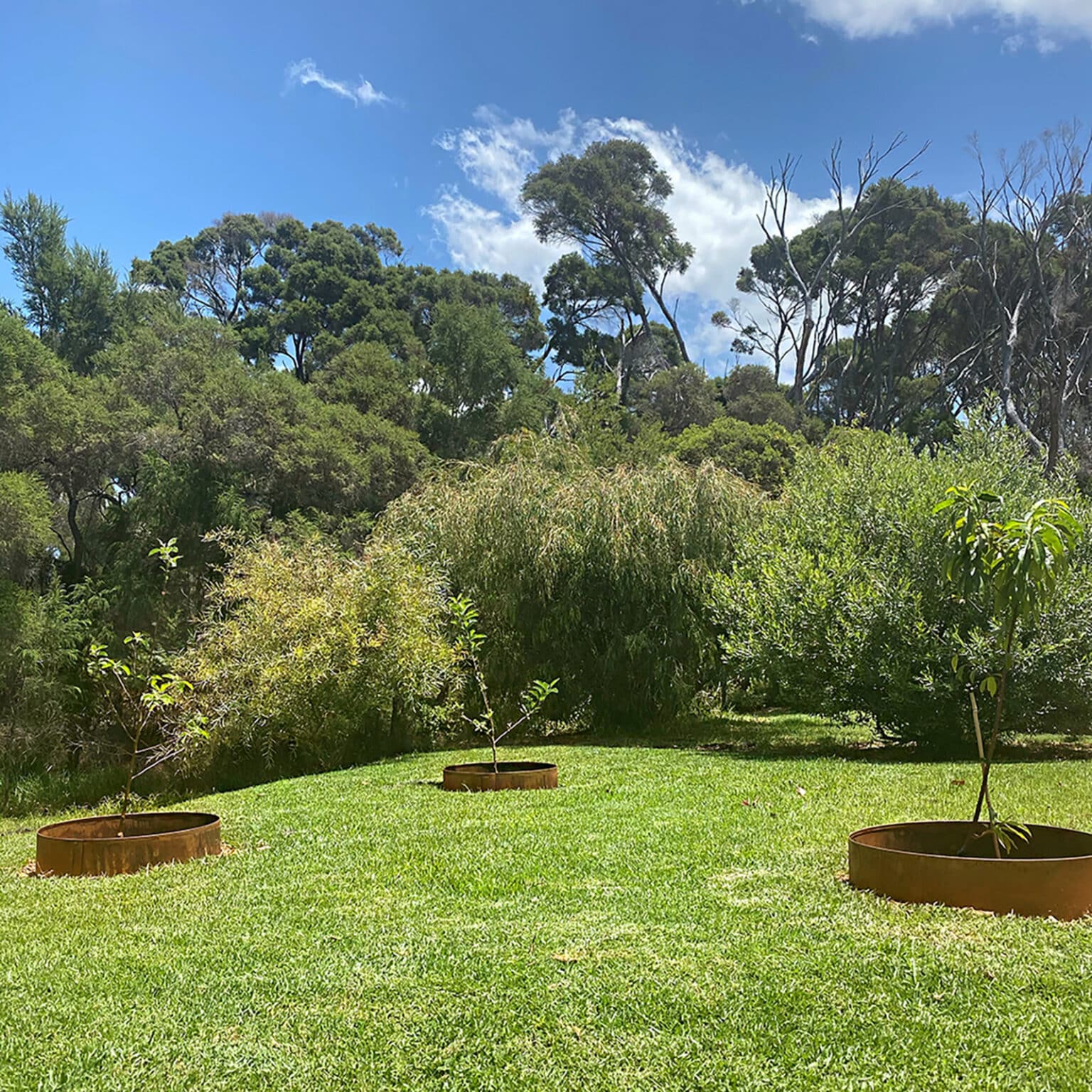 Oxy-Shield® Podium Rings | Garden Edging | Jack Products