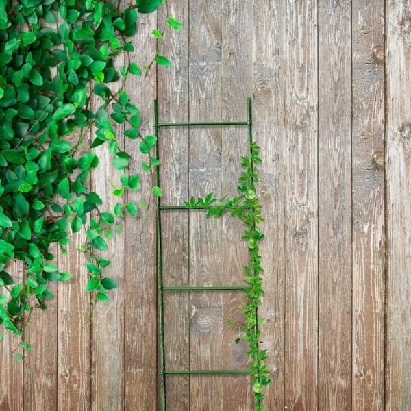 Pea & Bean Ladder Stake Kit | Jack