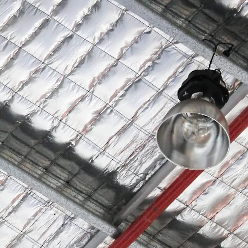 Roof Mesh | Jack