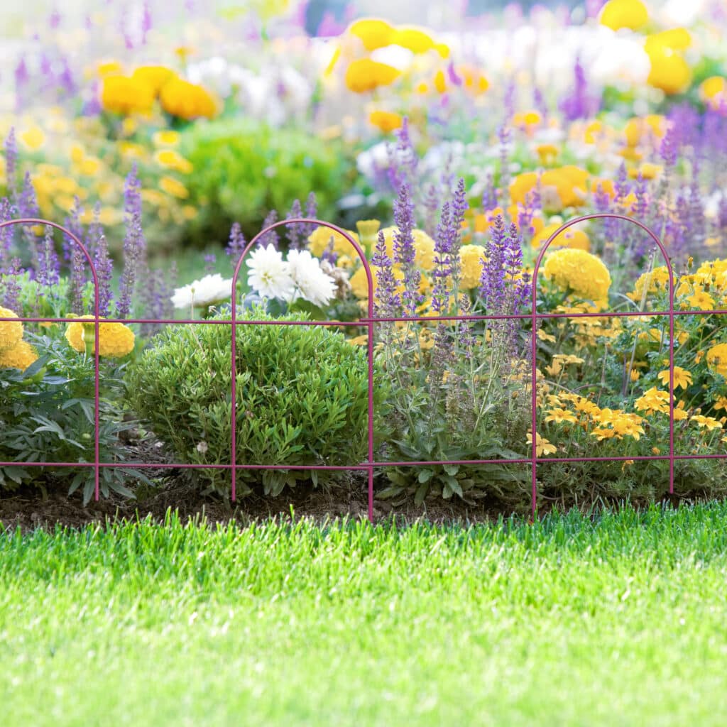 Looped Garden Panel Edging | Jack Garden Products