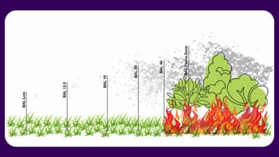 How To Fireproof Your Home | Ember Mesh | Jack Garden Advice