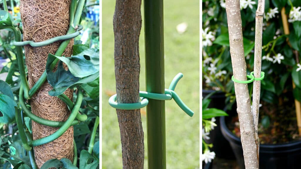 Selecting The Right Plant Ties | Jack Garden Advice