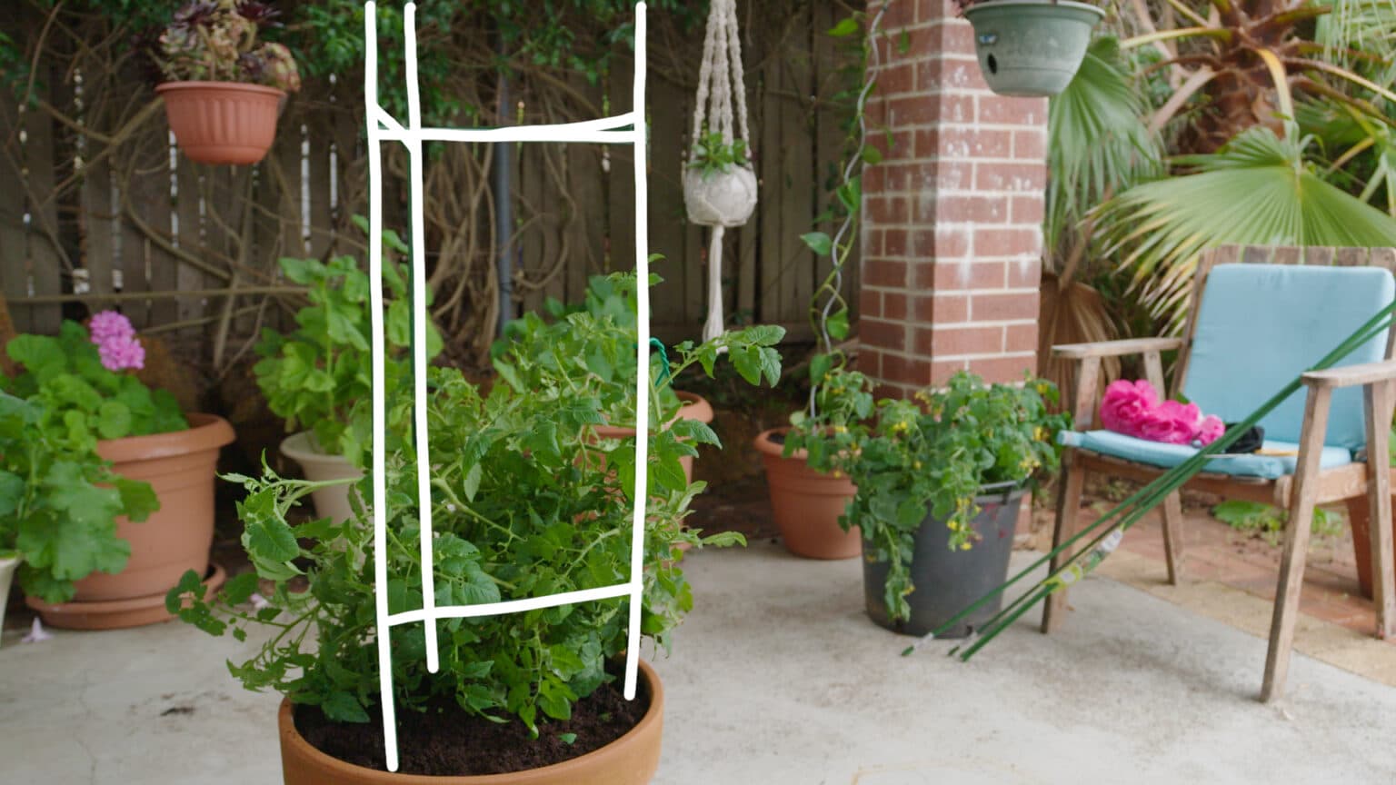 How To Pick The Perfect Garden Stake | Jack Garden Advice