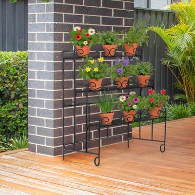 Vertical Gardening: Take Vegies & Herbs to New Heights | Jack Advice