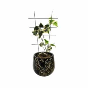 Mini Pot Trellis | Jack