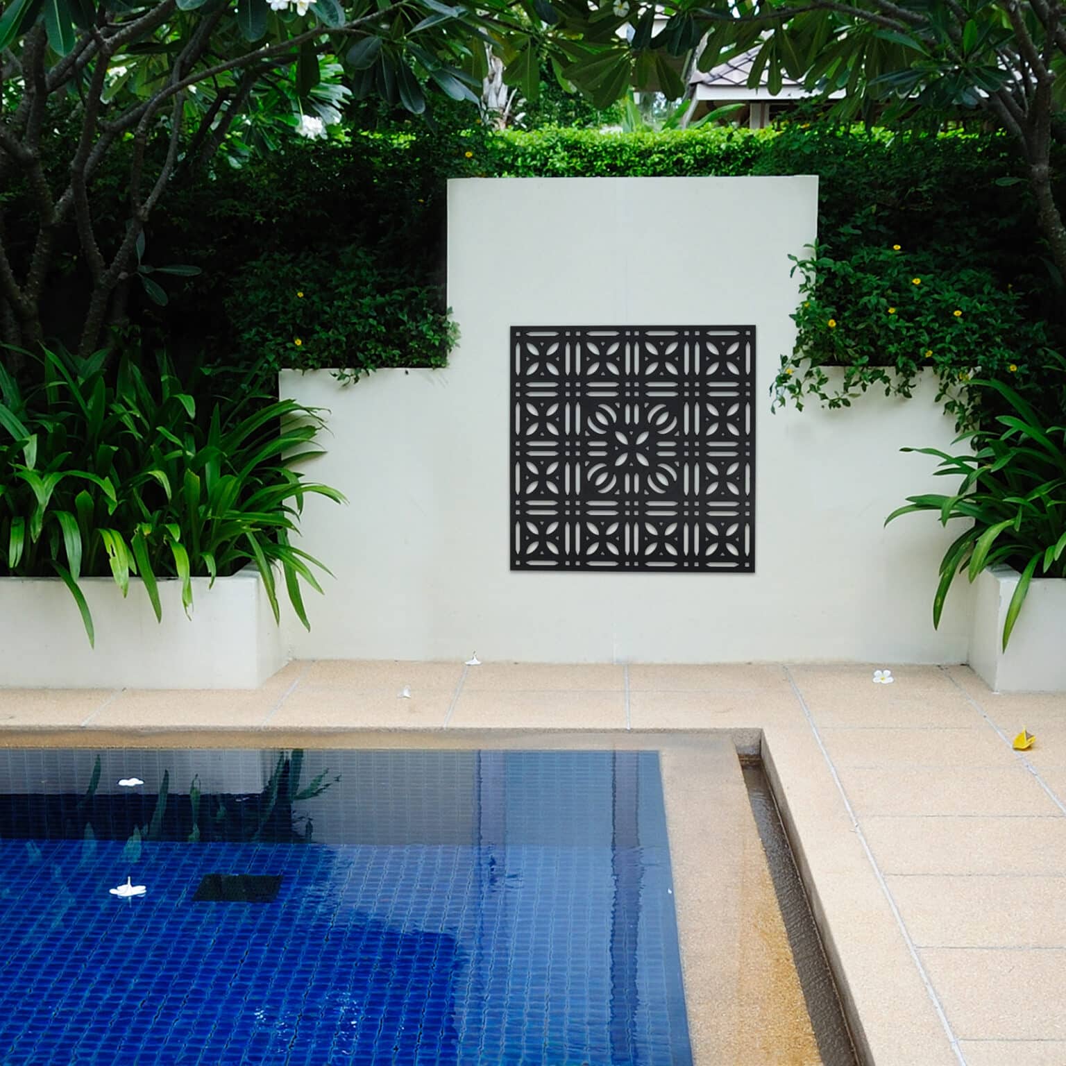 14 Garden Screening Ideas: Add Privacy, Style & Function! | Jack Advice