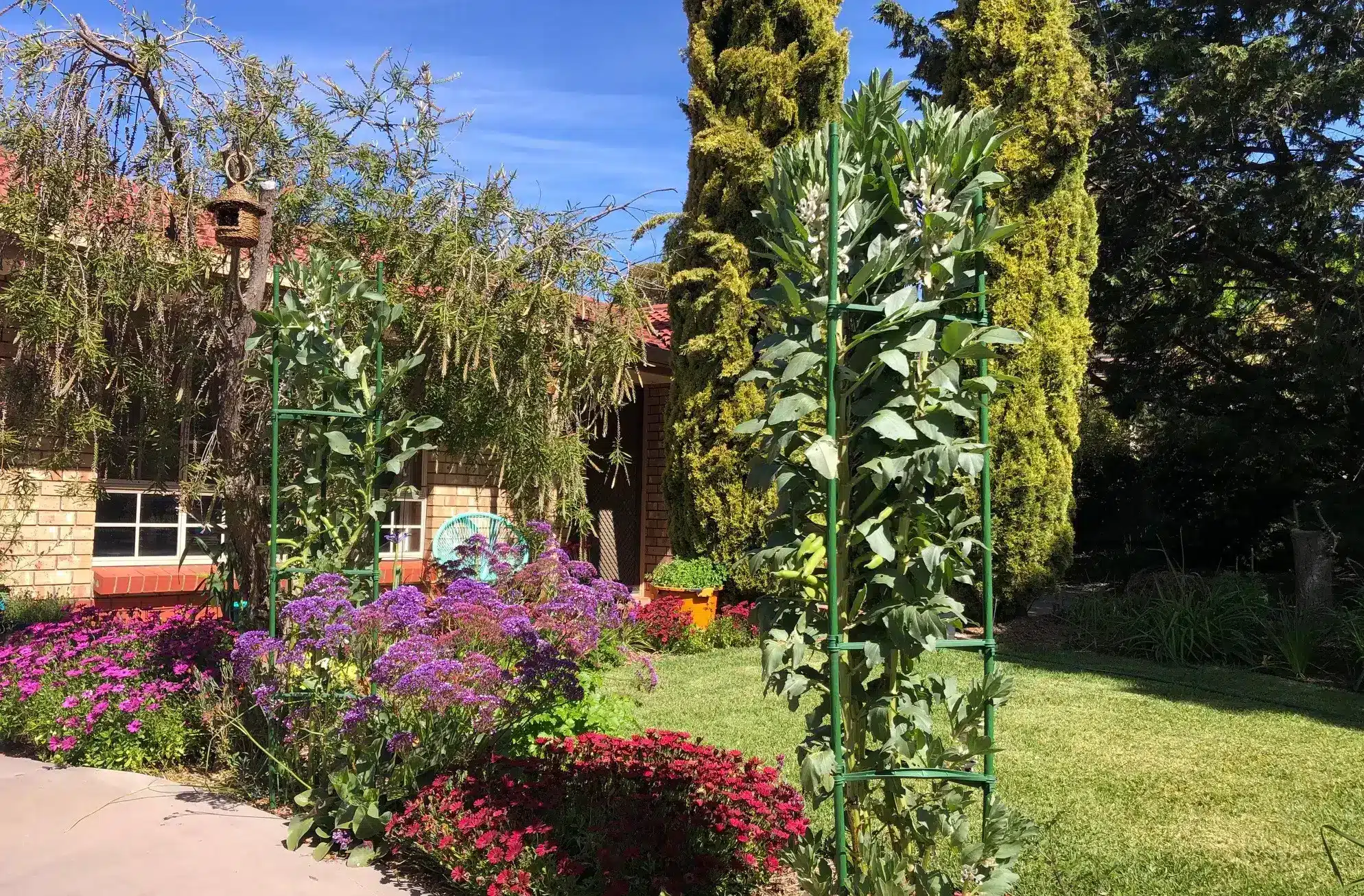 Garden Landscaping Ideas to Beautify Your Backyard | Jack