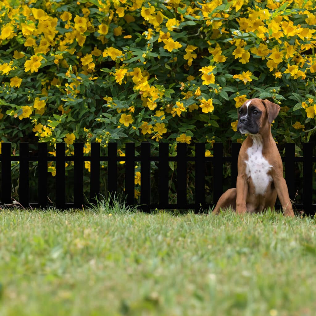 Upgrade Your Backyards Look With These Garden Edging Ideas | Jack Advice