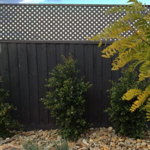 Matrix Fence Extension Classic Lattice | Jack