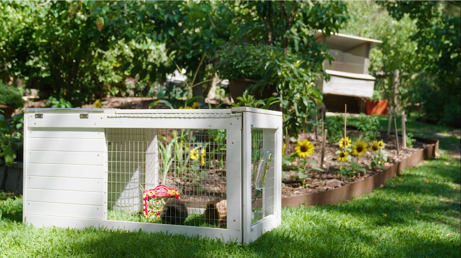 How To Build A Pet Enclosure | Jack Garden Products