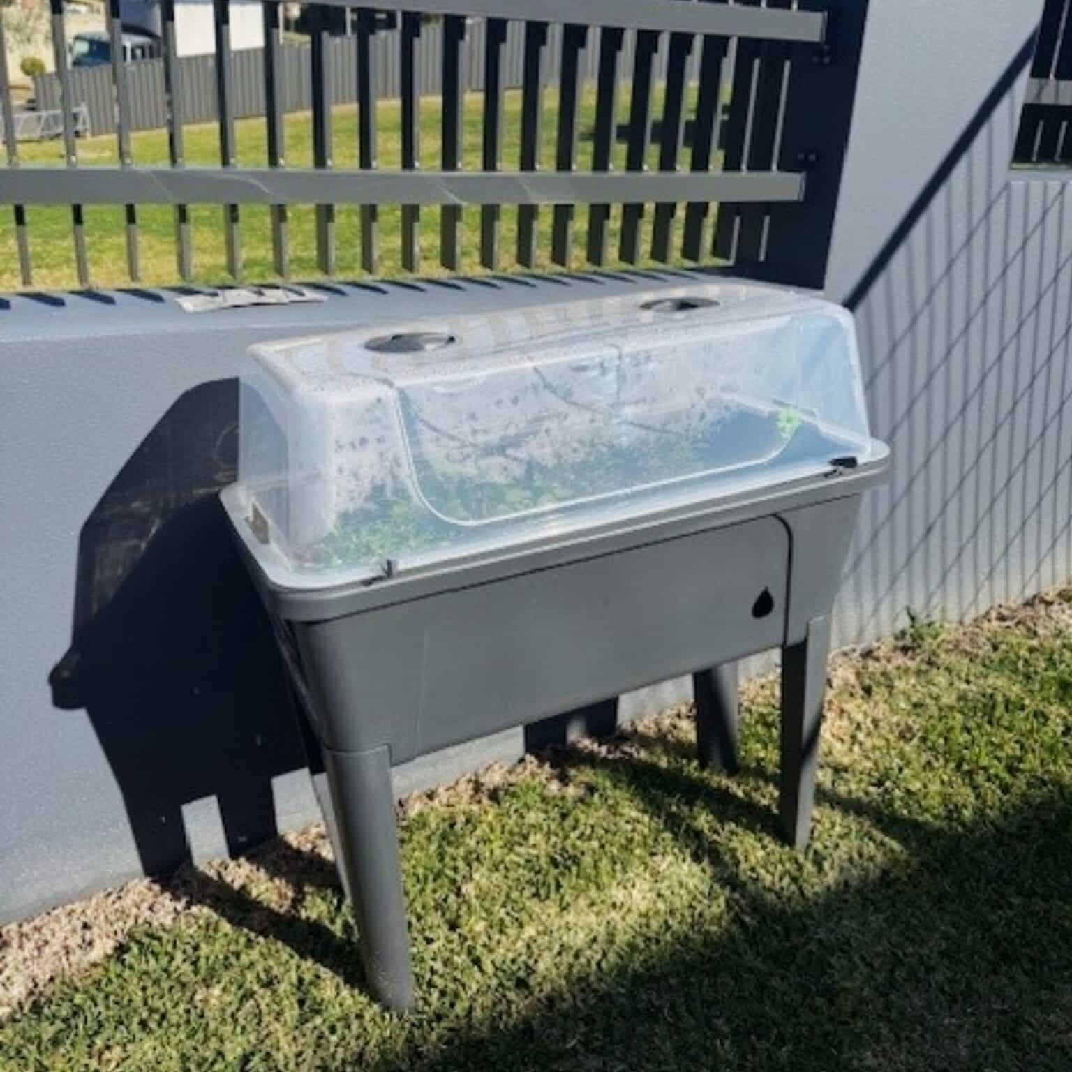 Self-Water Raised Planter | Jack